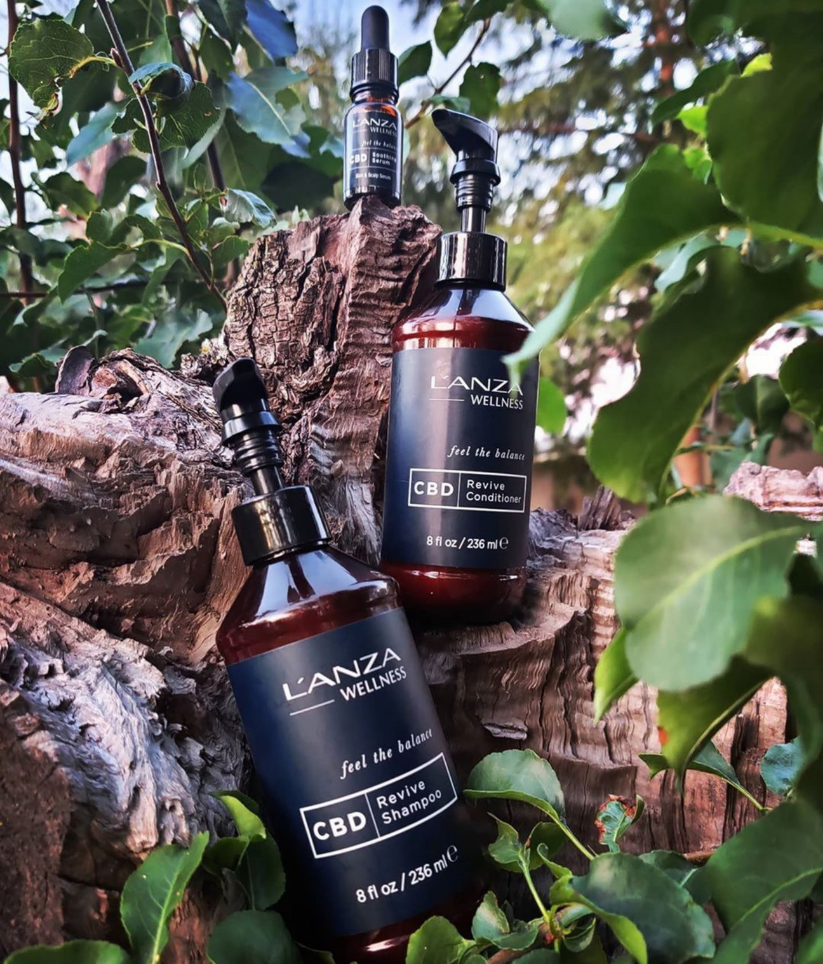 L'ANZA Bond Smoothing Styler | SalonCentric